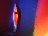 SCP-788 | Wiki La Fundación SCP | Fandom