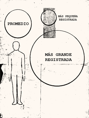 SCP-3201 | Wiki La Fundación SCP | Fandom