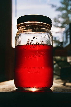 SCP-853 | Wiki La Fundación SCP | Fandom