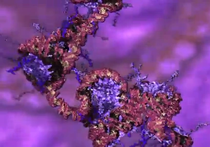 SCP 6782 | Wiki La Fundación SCP | Fandom