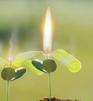 SCP-1612 | Wiki La Fundación SCP | Fandom