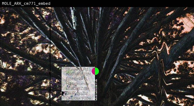 SCP-6002 | Wiki La Fundación SCP | Fandom