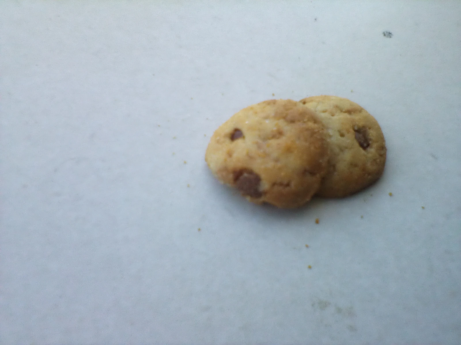 Scp 27770 | Wiki La Fundación SCP | Fandom