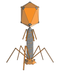 SCP-371 | Wiki La Fundación SCP | Fandom