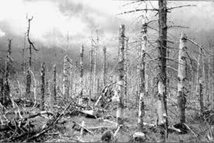 SCP-186 | Wiki La Fundación SCP | Fandom