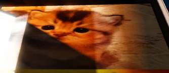 Channels | SCP-3008 ROBLOX Wiki | Fandom