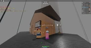 The Floating House | Roblox 3008 Wiki | Fandom