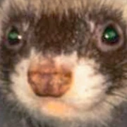 SCP-845 | SCP/4 Foundation Wiki | Fandom