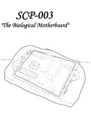 SCP-003 | SCPAbridged Wiki | Fandom