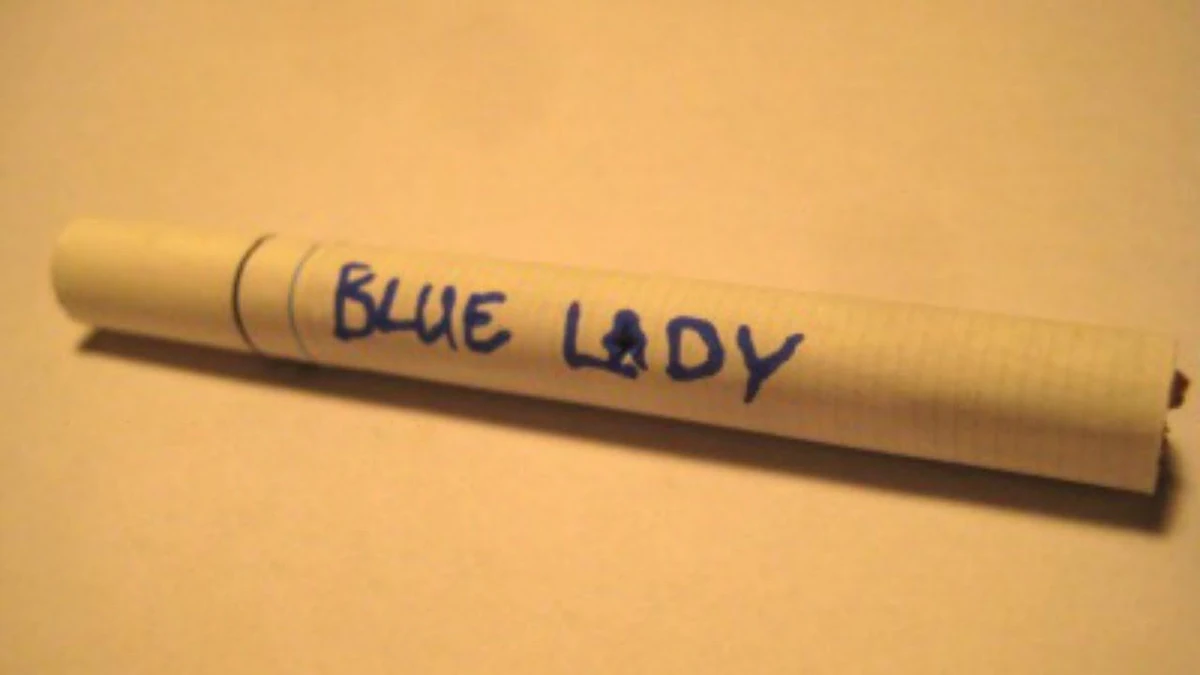 SCP-013-A | SCP Prime Canon Wiki | Fandom