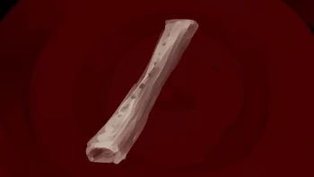 SCP-573-A | SCP Prime Canon Wiki | Fandom