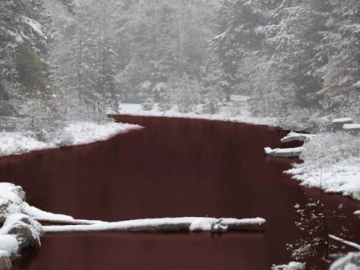 SCP-354-A | SCP Prime Canon Wiki | Fandom