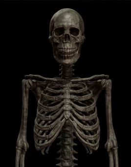 SCP-3114-D | SCP Prime Canon Wiki | Fandom