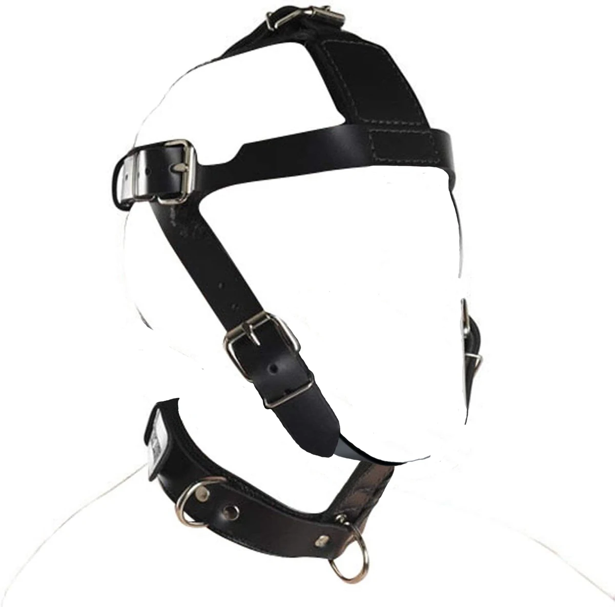 SCP-185-FM | SCP Prime Canon Wiki | Fandom