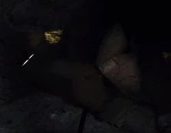 SCP-553 - Official SCP: Unity Wiki