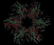 SCP-008 | SCP - Containment Breach вики | Fandom