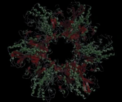 SCP: Deception/Загрузочные экраны | SCP - Containment Breach вики | Fandom