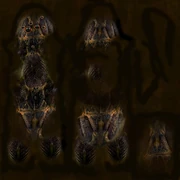 SCP-178 | SCP - Containment Breach вики | Fandom