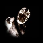 SCP-895 | SCP - Containment Breach вики | Fandom