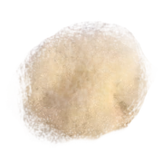 SCP-427 | SCP - Containment Breach вики | Fandom