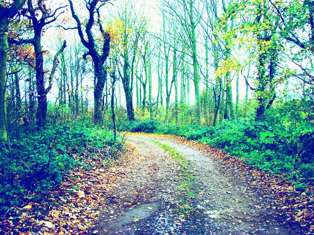 SCP-001 "The Spiral Path" | SCP Foundation Wiki | Fandom