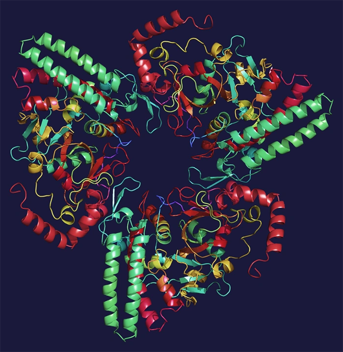 SCP-008 | SCP基金会中文 Wiki | Fandom
