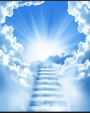 Scp-777 | SCP Foundation Wiki | Fandom