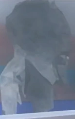 Specimen 04 | SCP Futuristic Wiki | Fandom