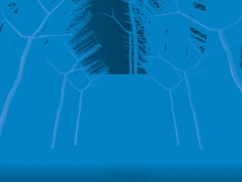 SCP-860 | SCPHazardous Wiki | Fandom