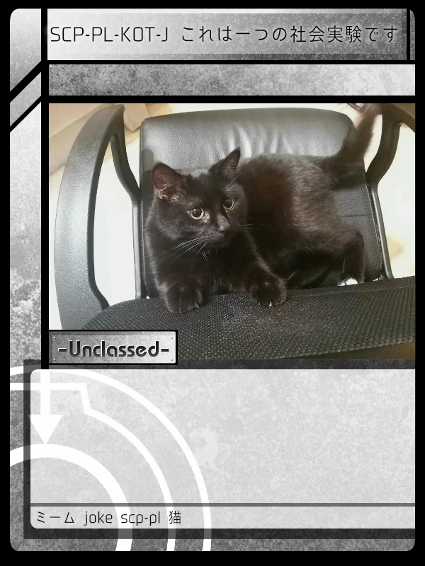 SCP-PL-KOT-J これは一つの社会実験です | Scptcgjpj Wiki | Fandom