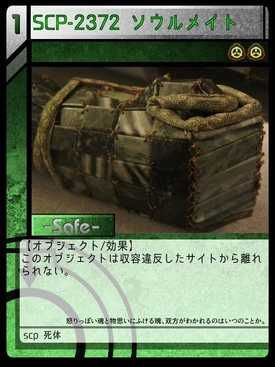 SCP-2372 ソウルメイト | Scptcgjpj Wiki | Fandom