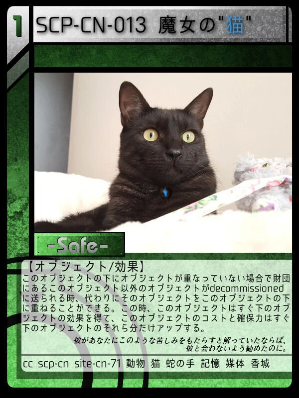 SCP-CN-013 魔女の“猫” | Scptcgjpj Wiki | Fandom