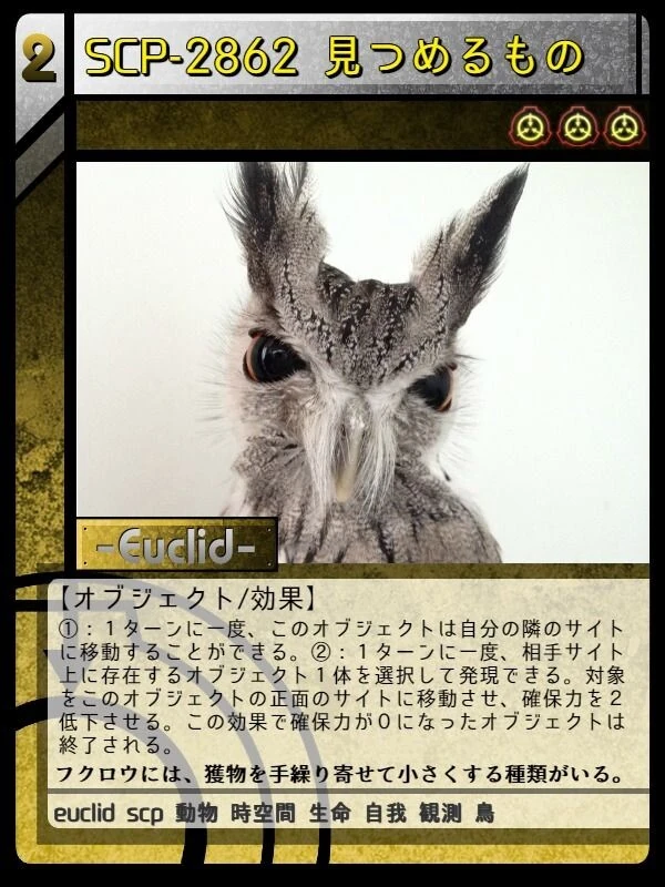 SCP-2862 見つめるもの | Scptcgjpj Wiki | Fandom