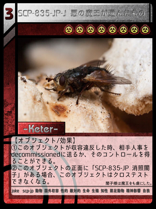 SCP-835-JP-J 悪の魔王が選んだもの | Scptcgjpj Wiki | Fandom