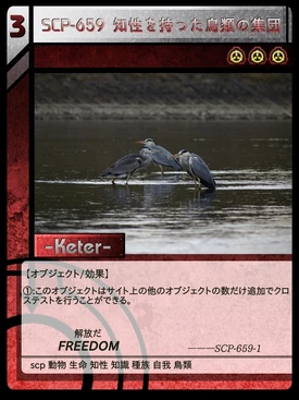 SCP-659 知性を持った鳥類の集団 | Scptcgjpj Wiki | Fandom