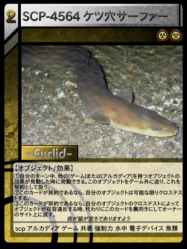 SCP-4564 ケツ穴サーファー | Scptcgjpj Wiki | Fandom