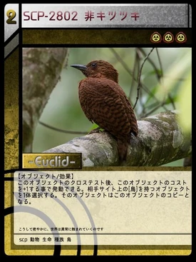 SCP-2802 非キツツキ | Scptcgjpj Wiki | Fandom