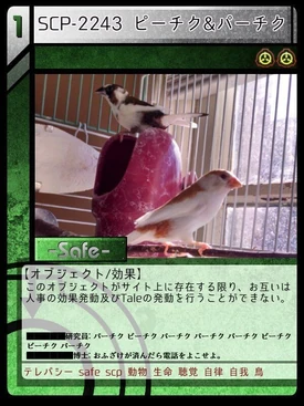 SCP-2243 ピーチク＆パーチク | Scptcgjpj Wiki | Fandom