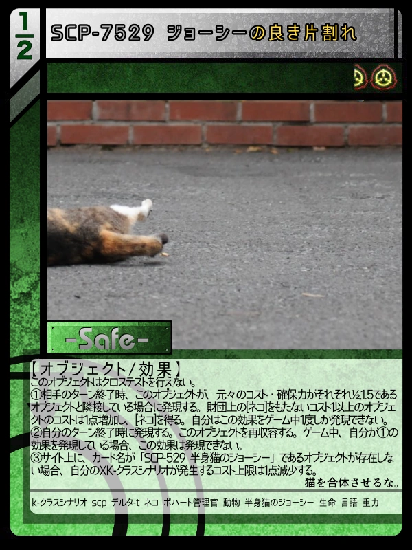 SCP-7529 ジョーシーの良き片割れ | Scptcgjpj Wiki | Fandom