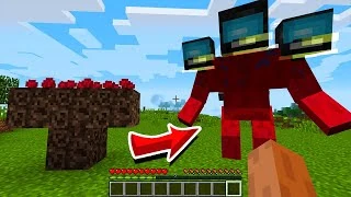 Video 5 | Scrapy Wiki | Fandom