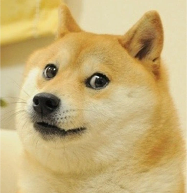 Doge | Scratch Find the Games Wiki | Fandom
