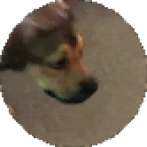 Randomscratcher Wiki | Fandom