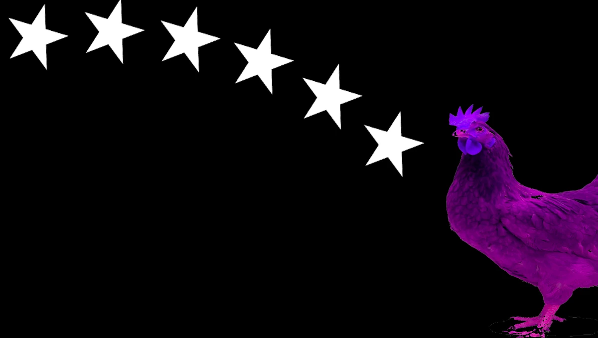 PocketRocket | Scratchmicronations Wiki | Fandom