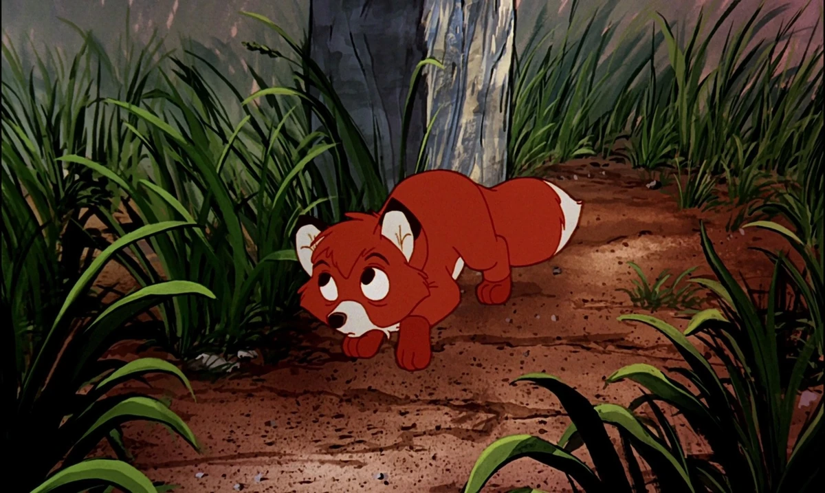 Birds of Madagascar | Scratchpad Wikia | Fandom