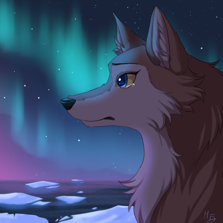 Alari Wolf | Scratchpad | Fandom