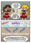 Toby Robin and her friends | Scratchpad | Fandom