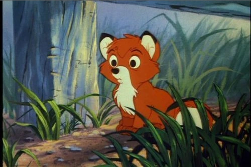 Tod the Fox/Gallery | Scratchpad | Fandom