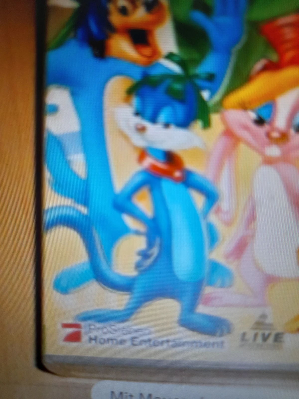 Chloe the Cat | Scratchpad | Fandom