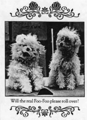 Foo-Foo | Scratchpad | Fandom