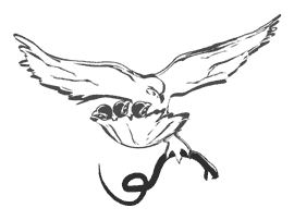 Kankad | Scratchpad | Fandom